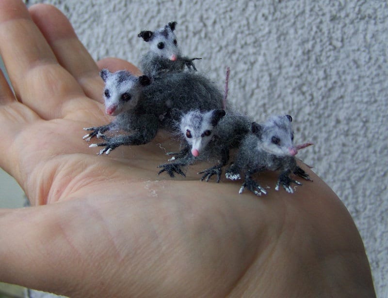 Made to Order Ooak Realistic Dollhouse Miniature Possums Mom - Etsy