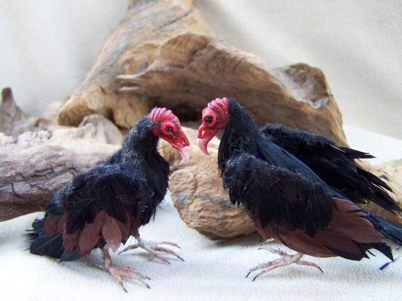 MADE to Order Ooak Dollhouse Miniature ONE Turkey Vulture Halloween by ...