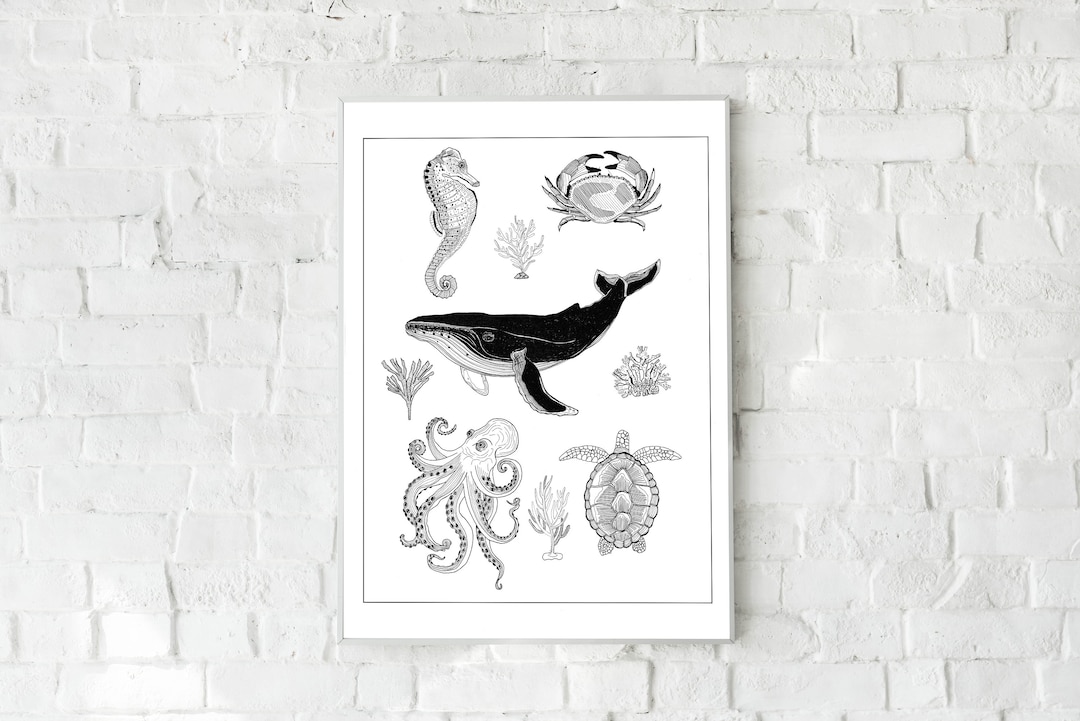 Poster Ocean Animals Whale Poster Decoration - Etsy