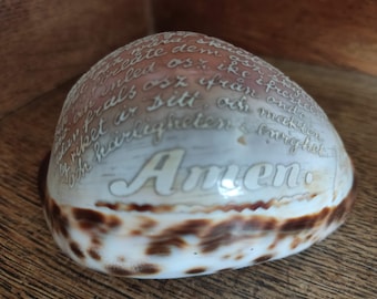 Carved Shell Our Father the Lord's Prayer Folk Art Victorian Cowrie Sea ...