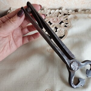 Antique 19c Sugar Cutters & Nippers, Collectible Sugar Snips, Antique ...