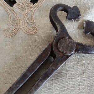 Antique 19c Sugar Cutters & Nippers, Collectible Sugar Snips, Antique ...