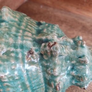 Vintage Ceramic Conch Shell , Teal Green / Designer Hand Crafted ...