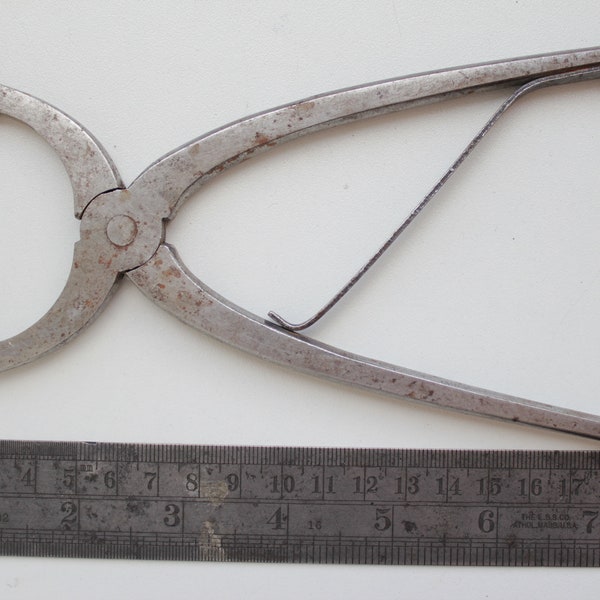 Antique Sugar Nippers - Etsy