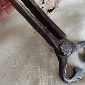 Antique 19c Sugar Cutters & Nippers, Collectible Sugar Snips, Antique ...