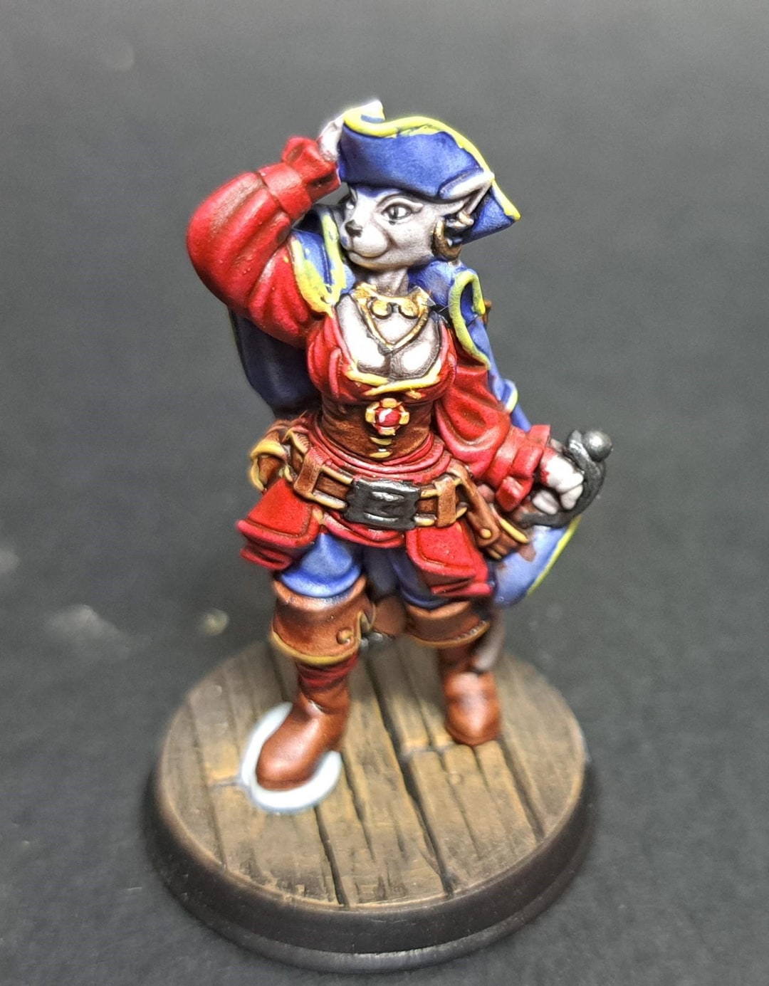 Tabaxi Cat Pirate Captain Painted Dungeons and Dragons Mini RPG ...
