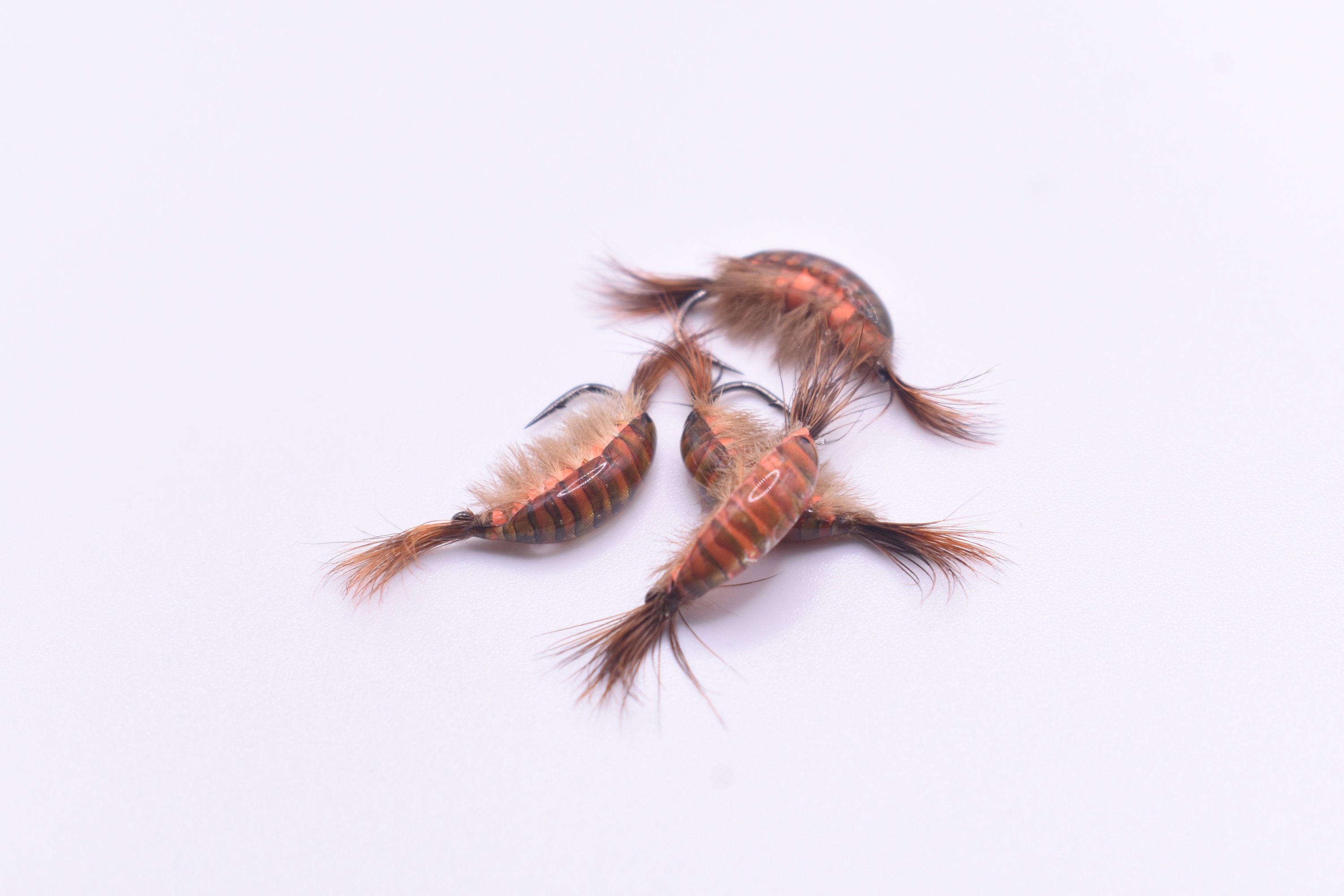 Brown Micro Tungsten Shrimp Jigs (4 Jig Pack) - Etsy