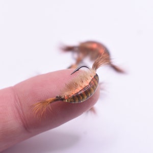 Brown Micro Tungsten Shrimp Jigs 4 Jig Pack - Etsy