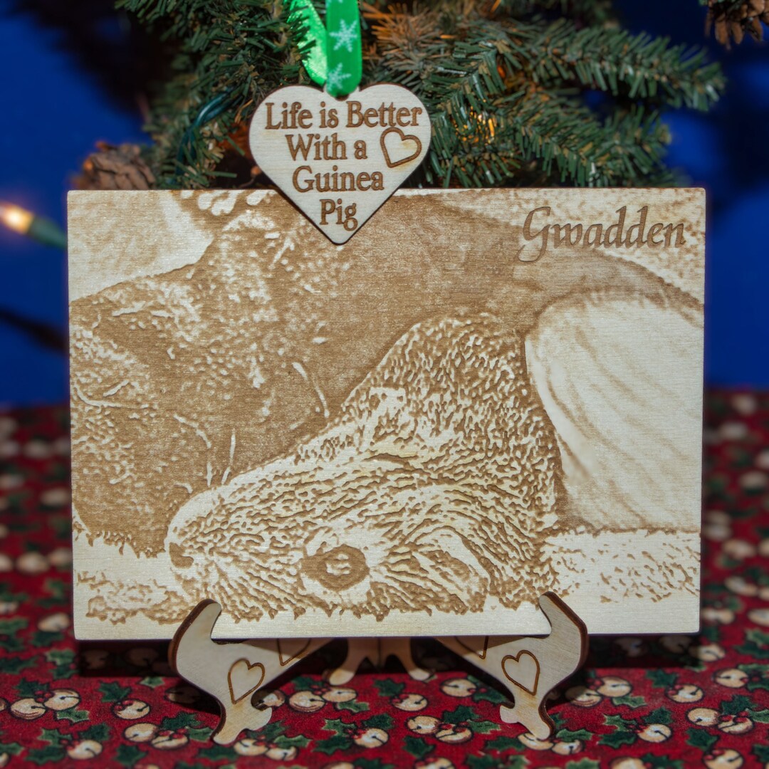 Photo Etched Portrait. 4 X 6 to 12. Pet Portrait Etching, Dog Etching ...