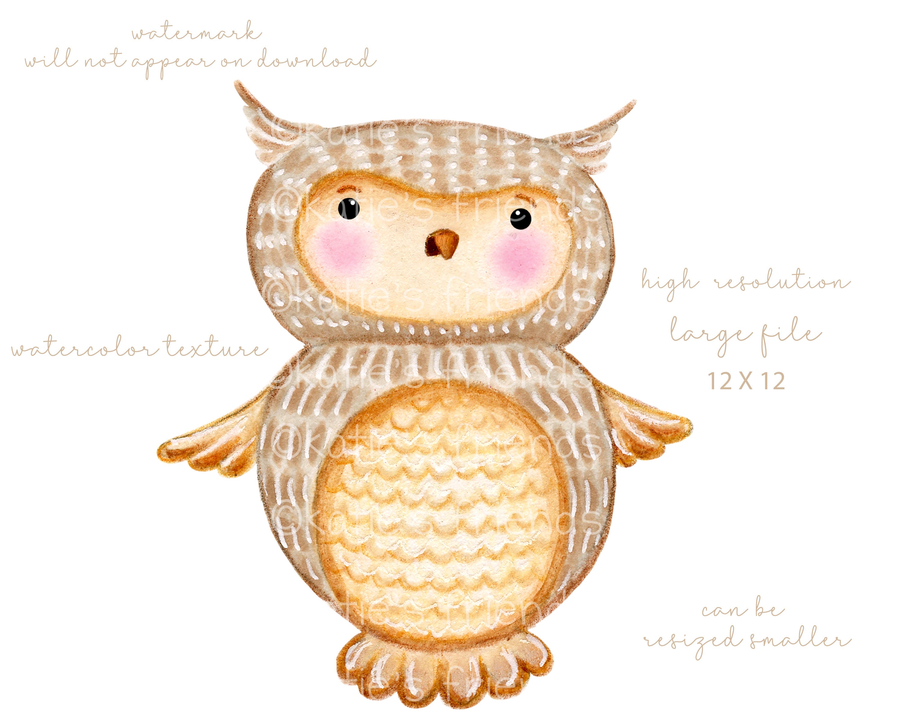 Woodland Owl PNG cute owl clipart printable owl owl | Etsy