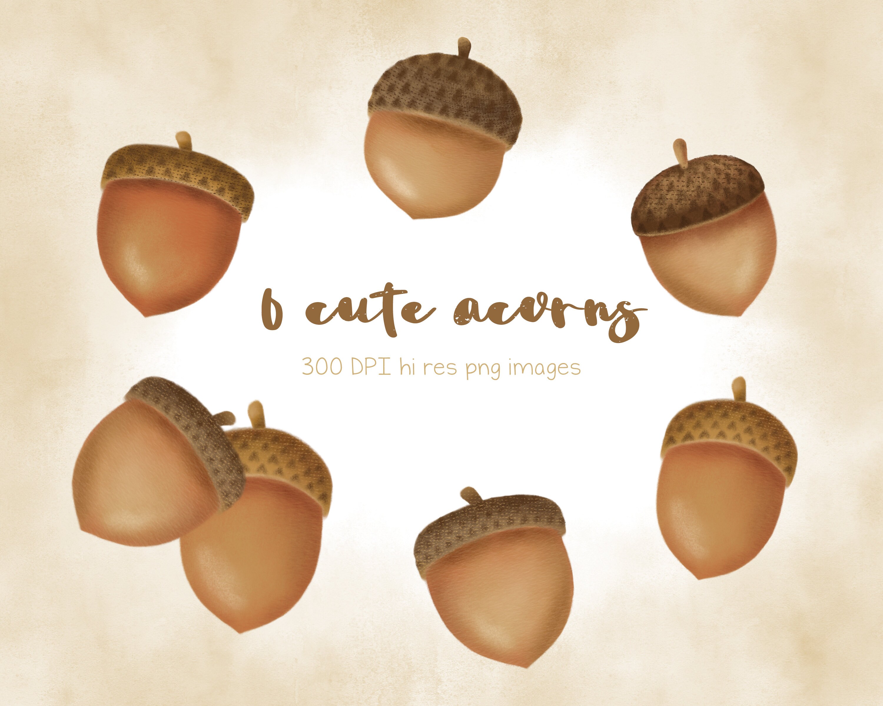 Acorn Clipart, Woodland Scenery Clipart, Autumn Leaves, Mushrooms ...