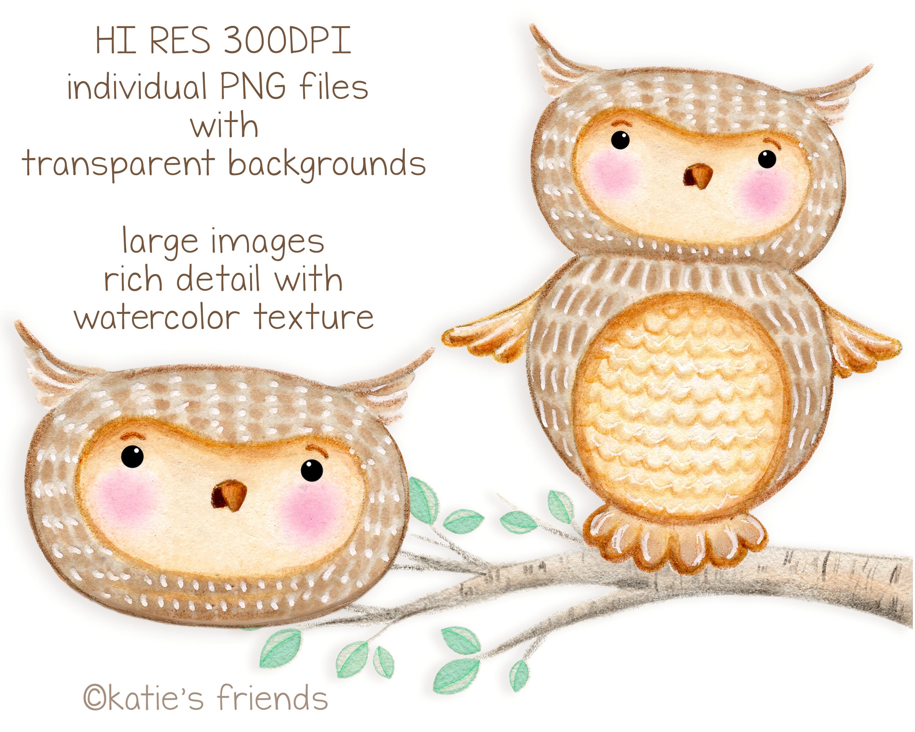 Woodland Owl Clipart, Watercolor Owls, Cute Owl Clipart, Woodland ...
