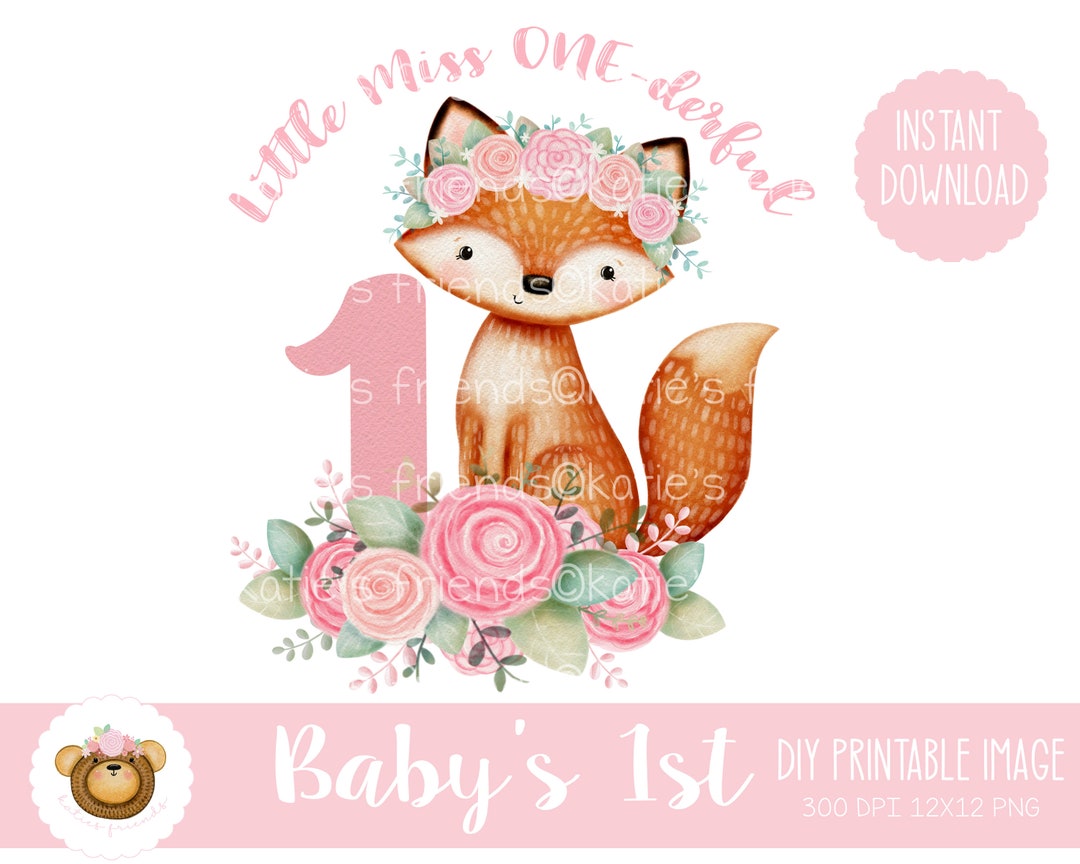 Babys 1st Birthday Sublimation Design, ONE Derful Heat Transfer for ...