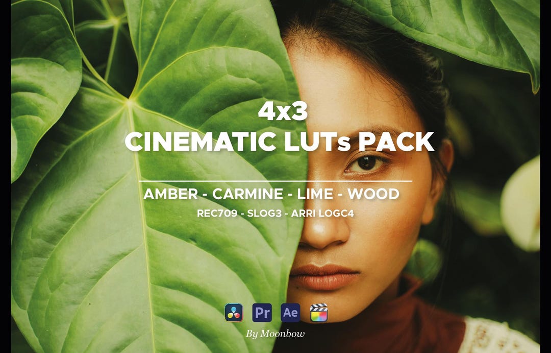 Cinematic Luts: Amber, Carmine, Lime, Wood - Rec709, Slog3, Arri Logc4 ...