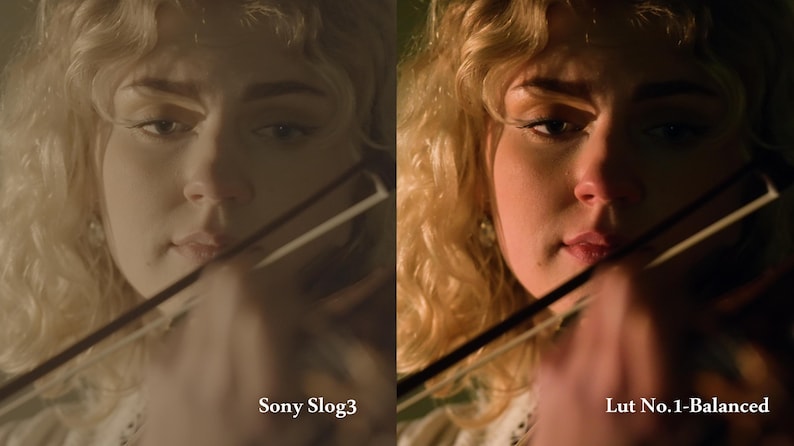 Sony S-log3 Luts Pack: Cinematic Color Grading Presets (.cube Format ...