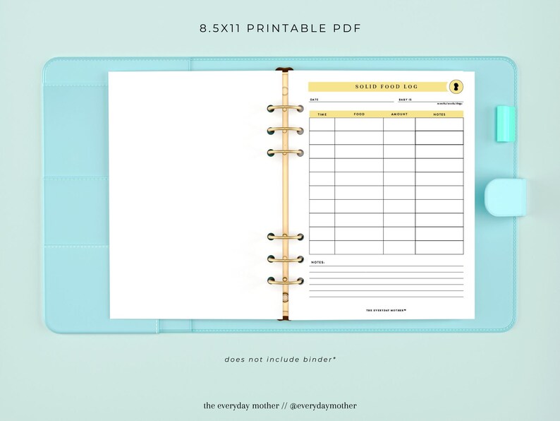 Printable Daily Baby Solid Food Log DIY Baby Tracking Log - Etsy