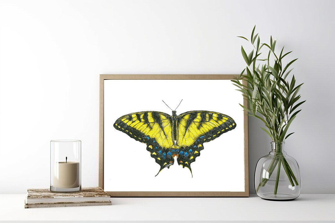 Eastern Tiger Swallowtail Butterfly - Etsy