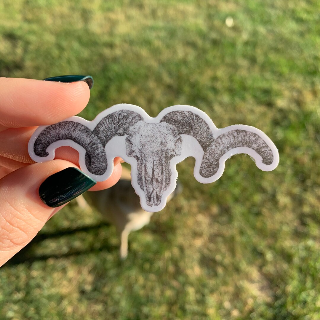 Ram Skull Sticker - Etsy