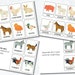 Farm Animal Flashcards for Kids, on the Farm Printable Flashcards ...