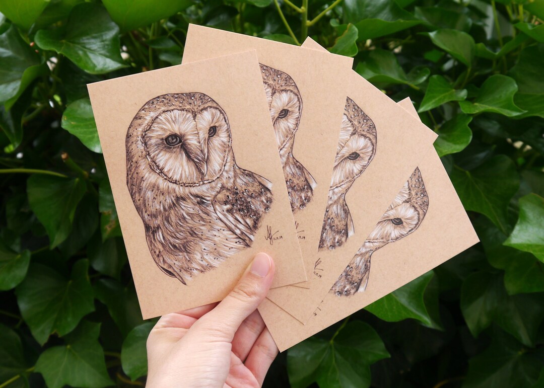 Four Barn Owls Postcards rico DIN A6 Postcard Set With Drawing of a ...