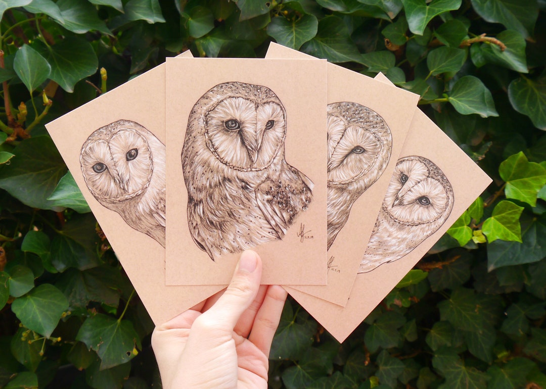 Four Barn Owls Postcard Mix DIN A6 Postcard Set With Drawing of a Barn ...
