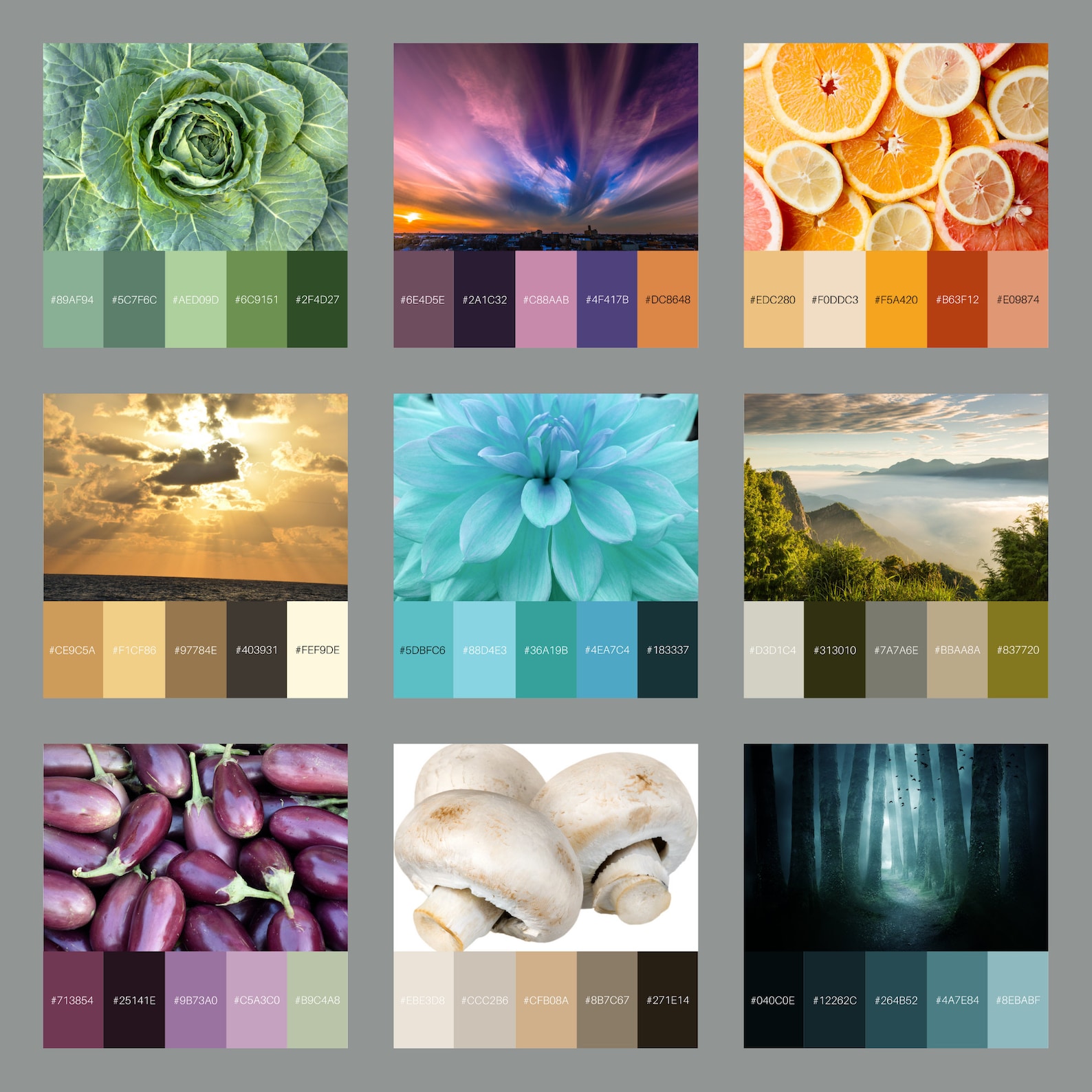 50 Nature Inspired Color Palettes, Nature Color Palette, Adventure ...