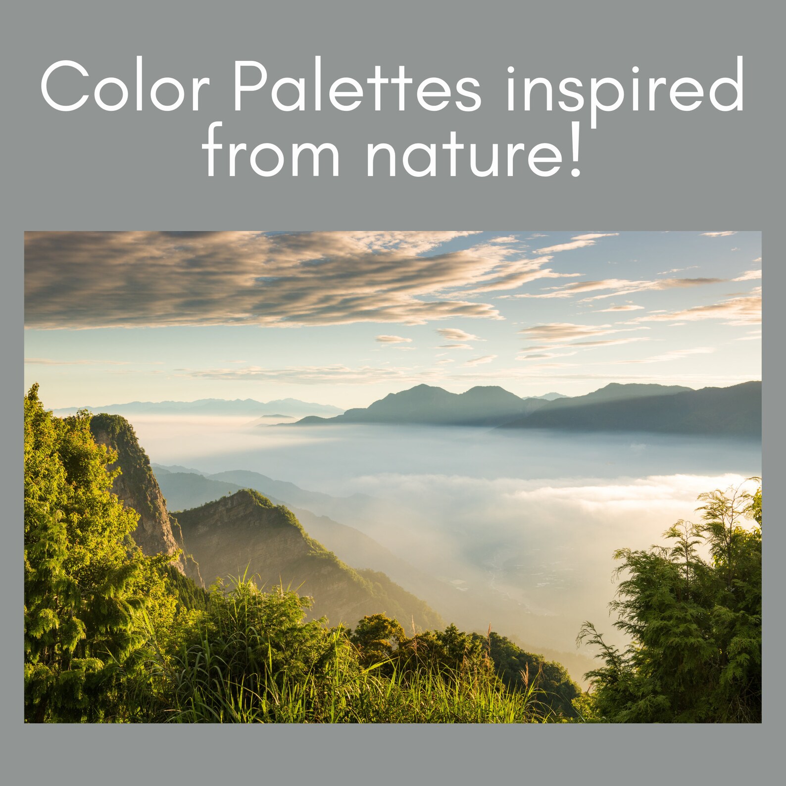 50 Nature Inspired Color Palettes, Nature Color Palette, Adventure ...