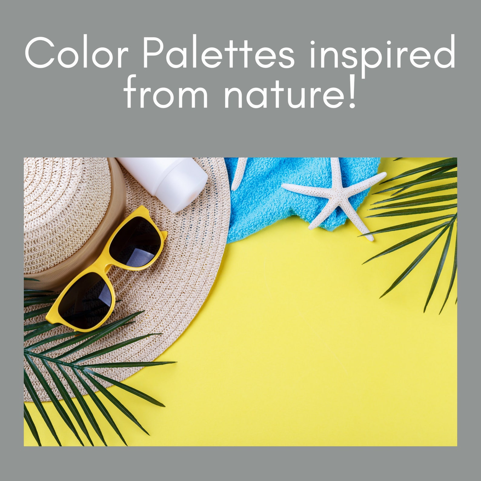 Aesthetic Color Palette Collection for DIY Branding, Nature Color ...