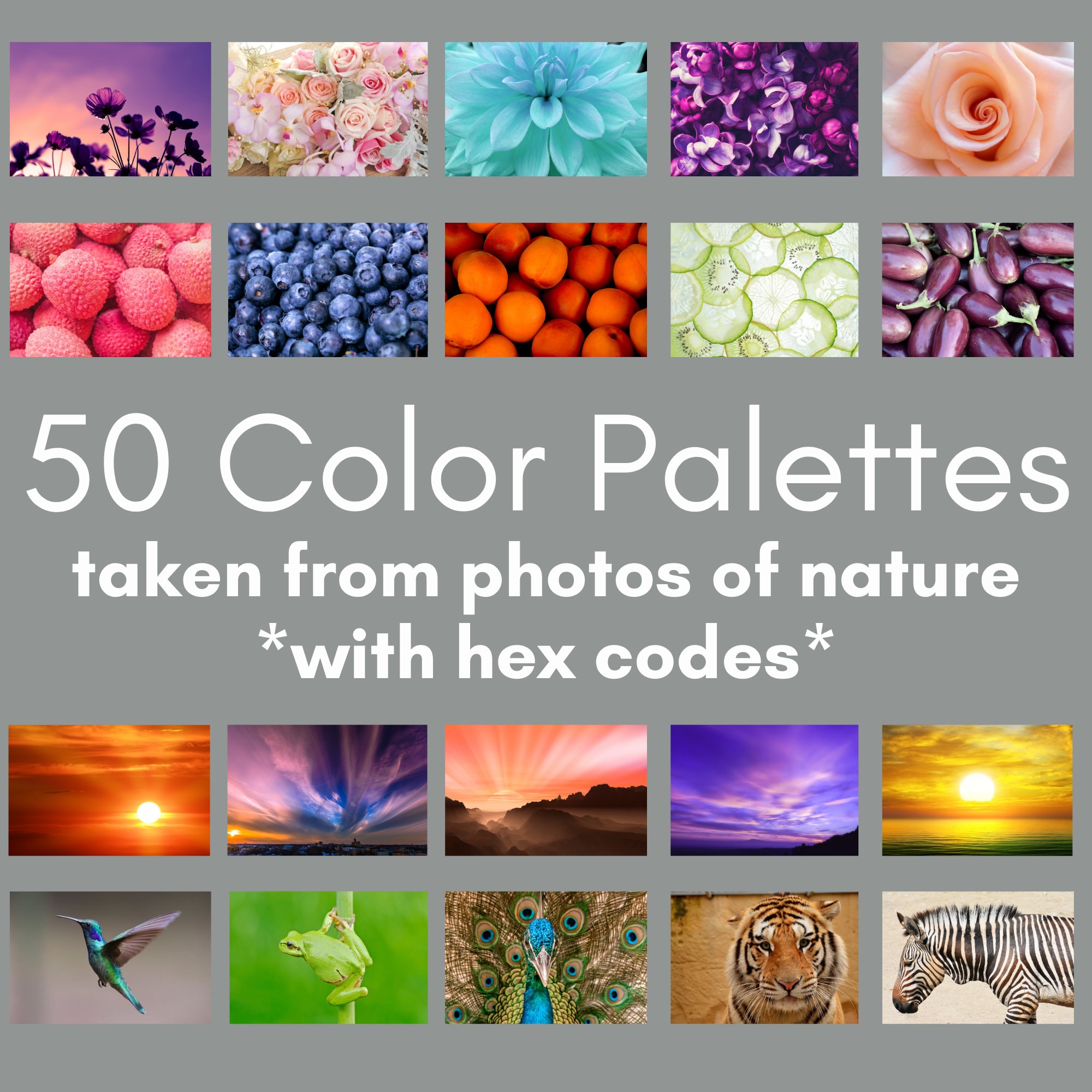 Nature's Rainbow: 50 Inspirational Color Swatches, Nature Color Palette ...