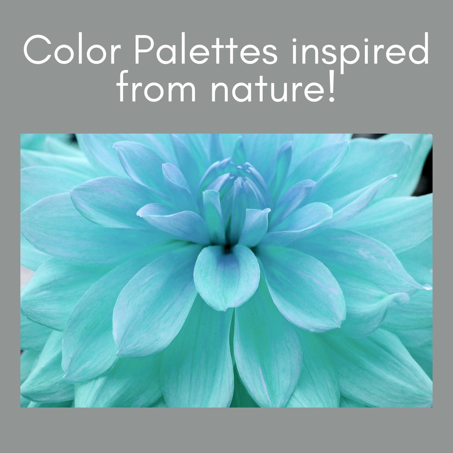 Nature's Rainbow: 50 Inspirational Color Swatches, Nature Color Palette ...