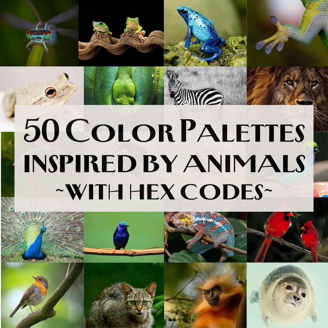 50 Animal Inspired Color Palette, Nature Inspired Color Schemes ...
