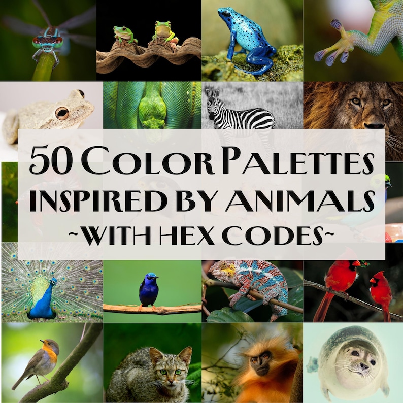 50 Animal Inspired Color Palette, Nature Inspired Color Schemes ...