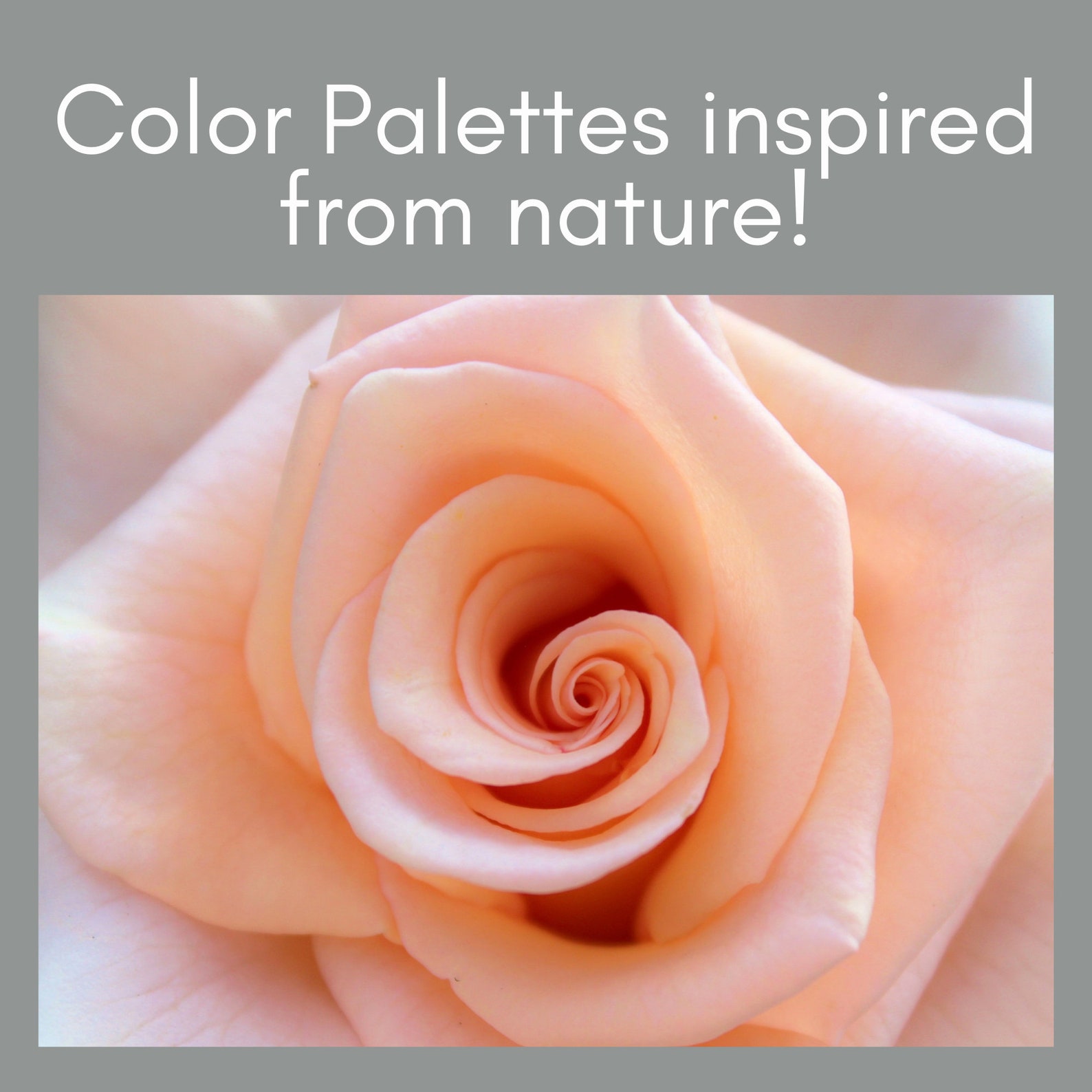 Nature's Rainbow: 50 Inspirational Color Swatches, Nature Color Palette ...
