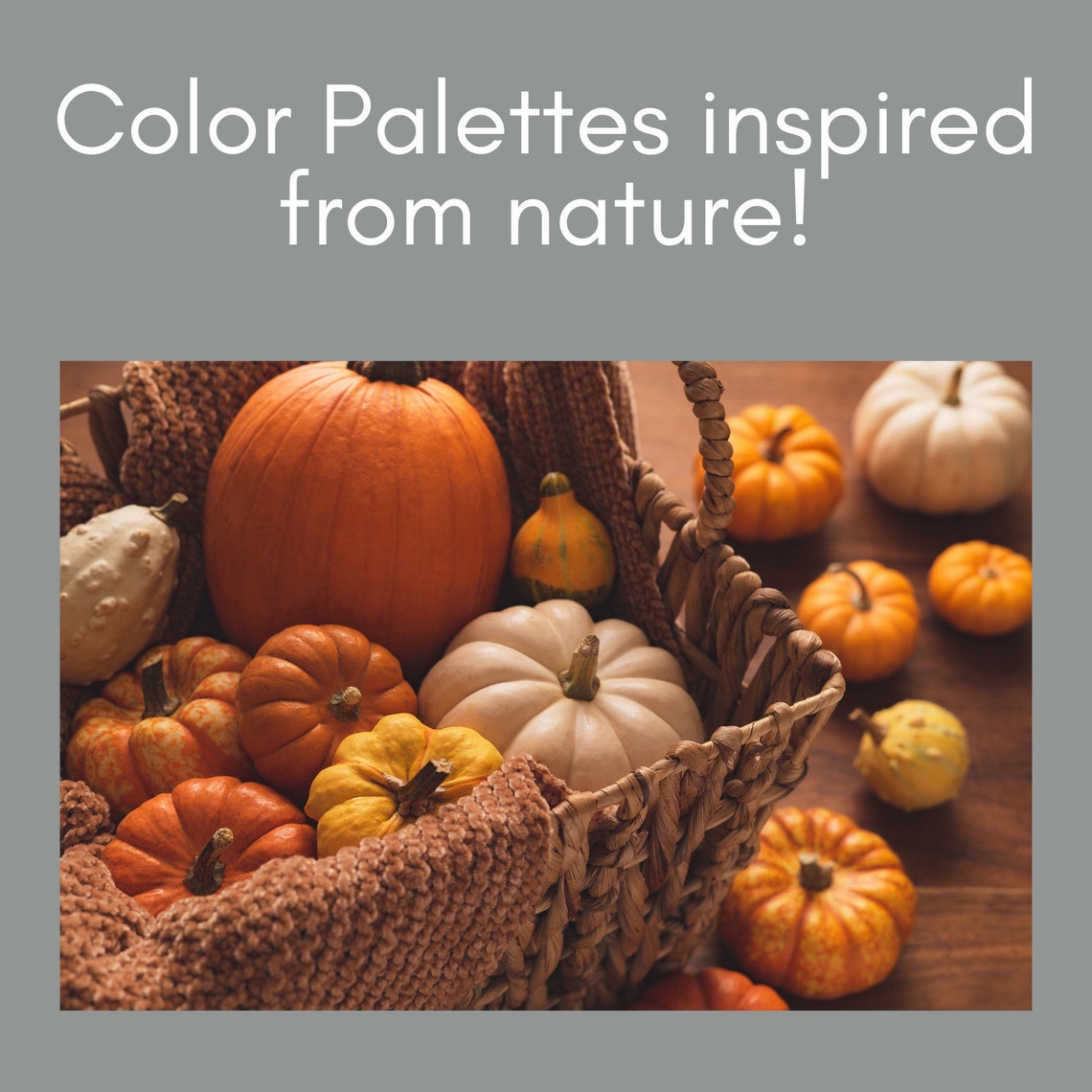 Aesthetic Color Palette Collection for DIY Branding, Nature Color ...