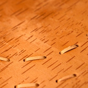 Large Round Birch Bark Bread Bin »lena« - Etsy