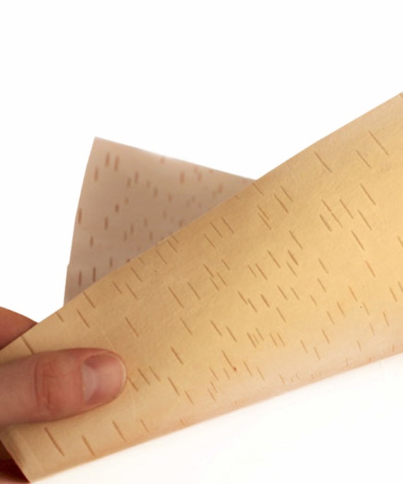 Birch Bark Paper Roll
