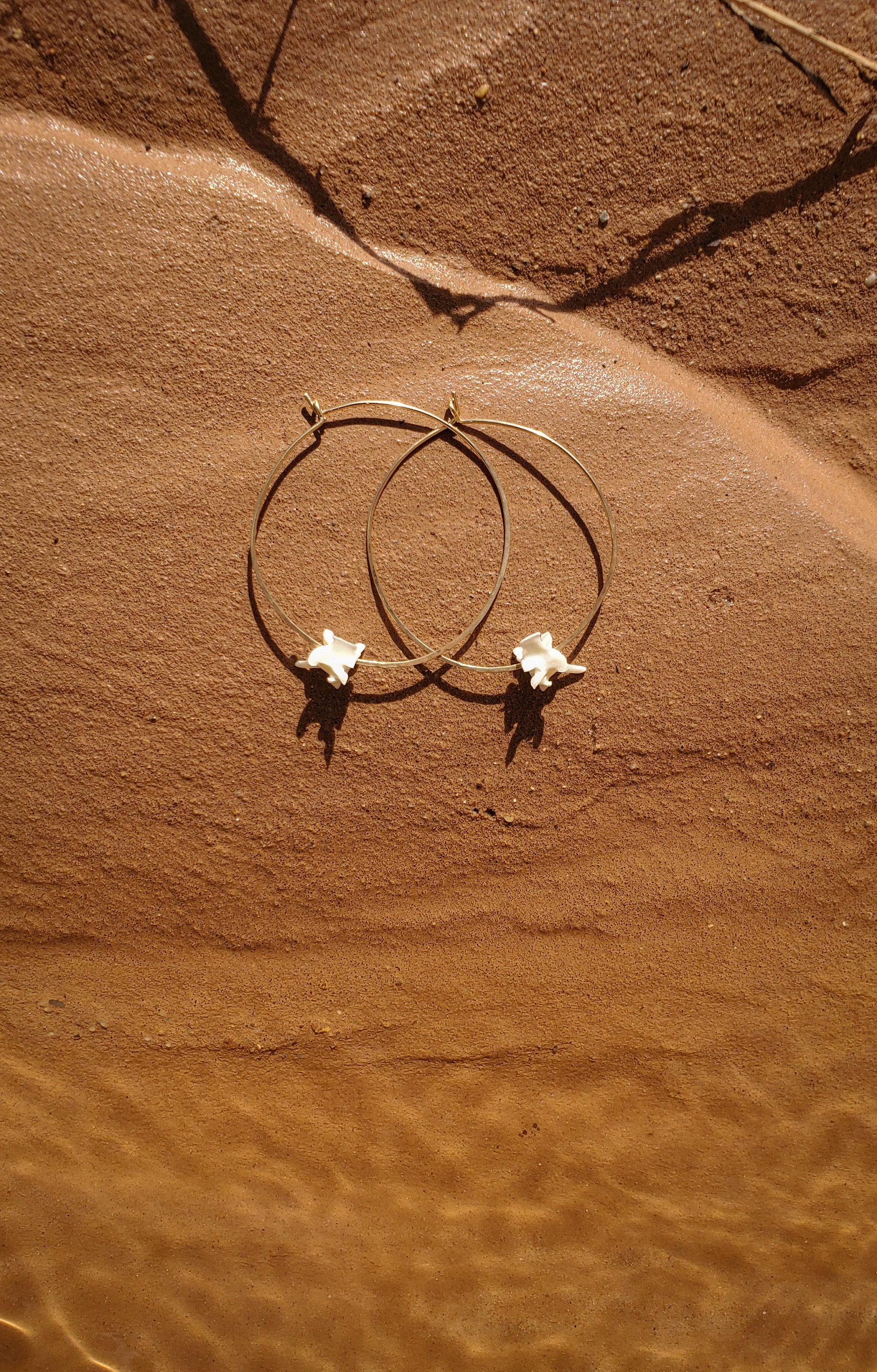 Shop — Coyote Crafted