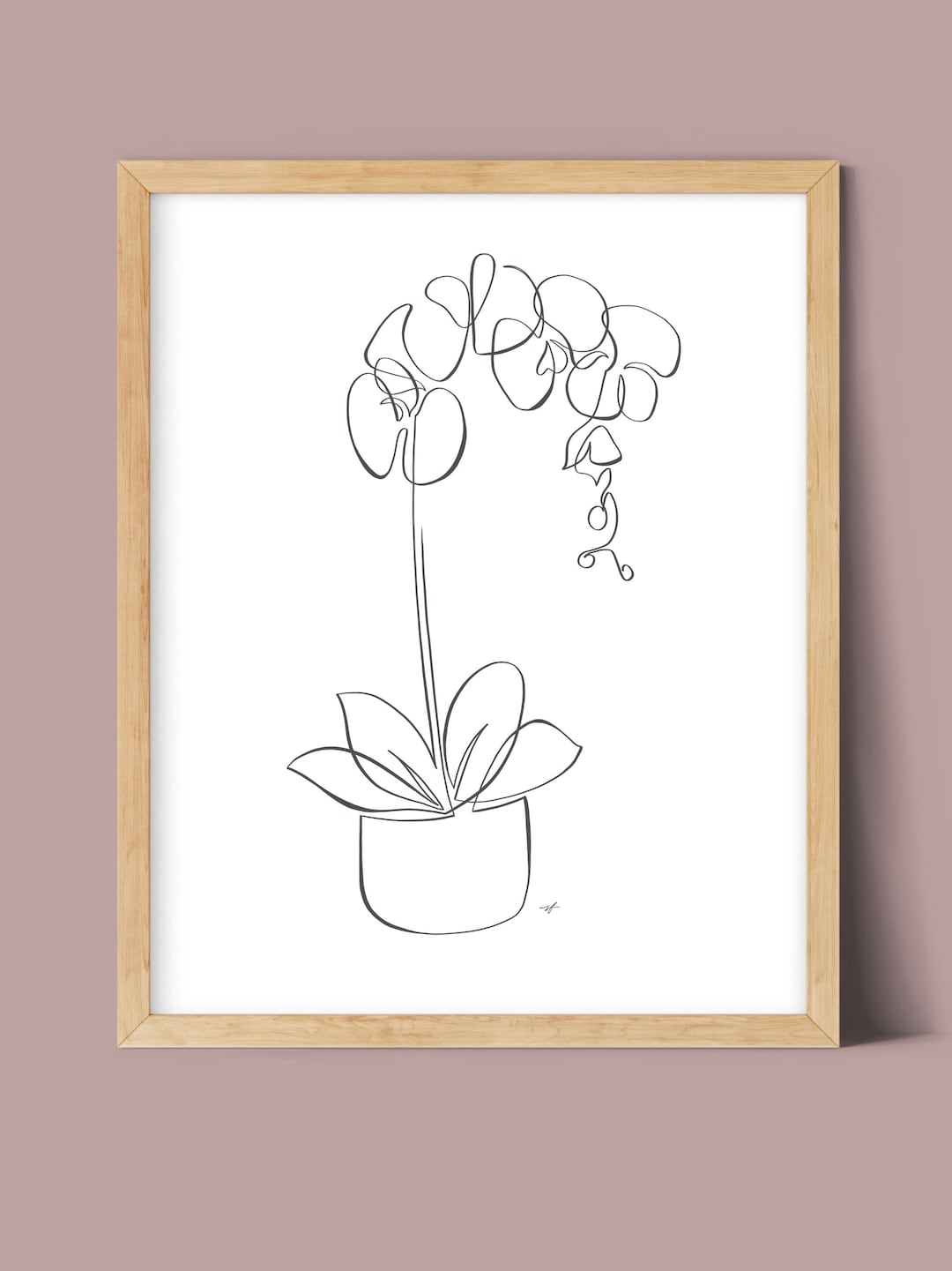 Orchid Flower One Line Drawing, Digital Download - Etsy