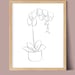 Orchid Flower One Line Drawing, Digital Download - Etsy