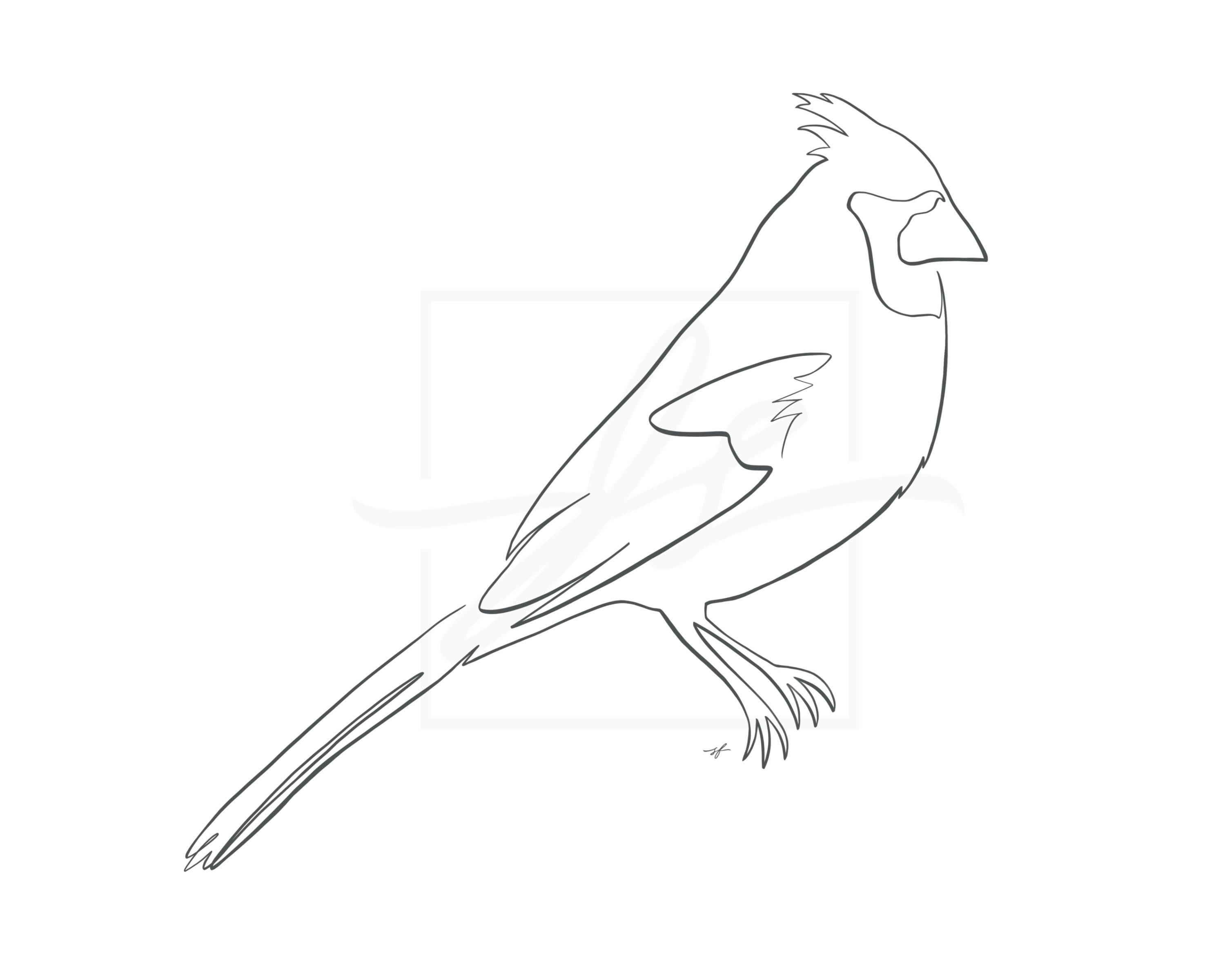 Cardinal Minimalist One Line Drawing, Digital Download - Etsy