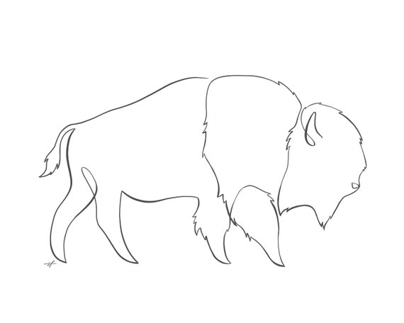 Buffalo Outline Drawing