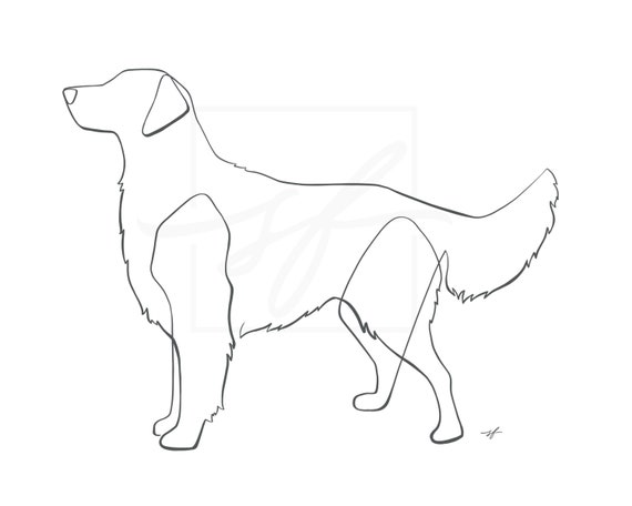 Golden Retriever Line Drawing