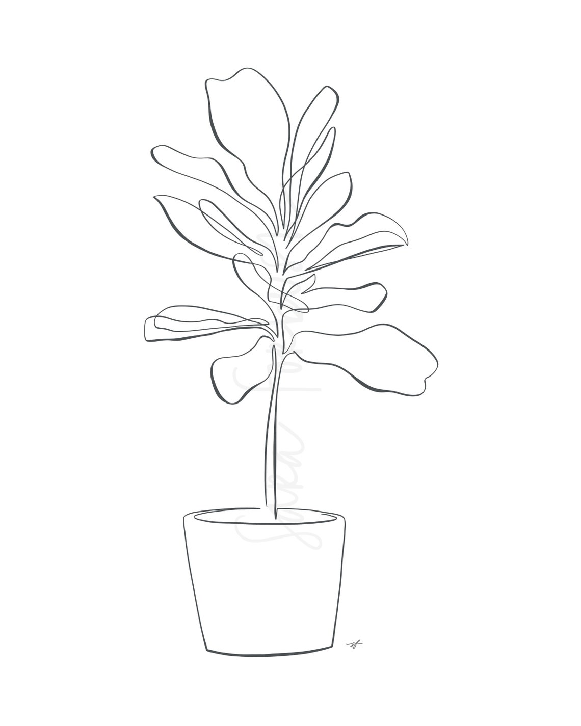 Fiddle Leaf Fig Plant One Line Drawing, download digitale - Etsy Italia