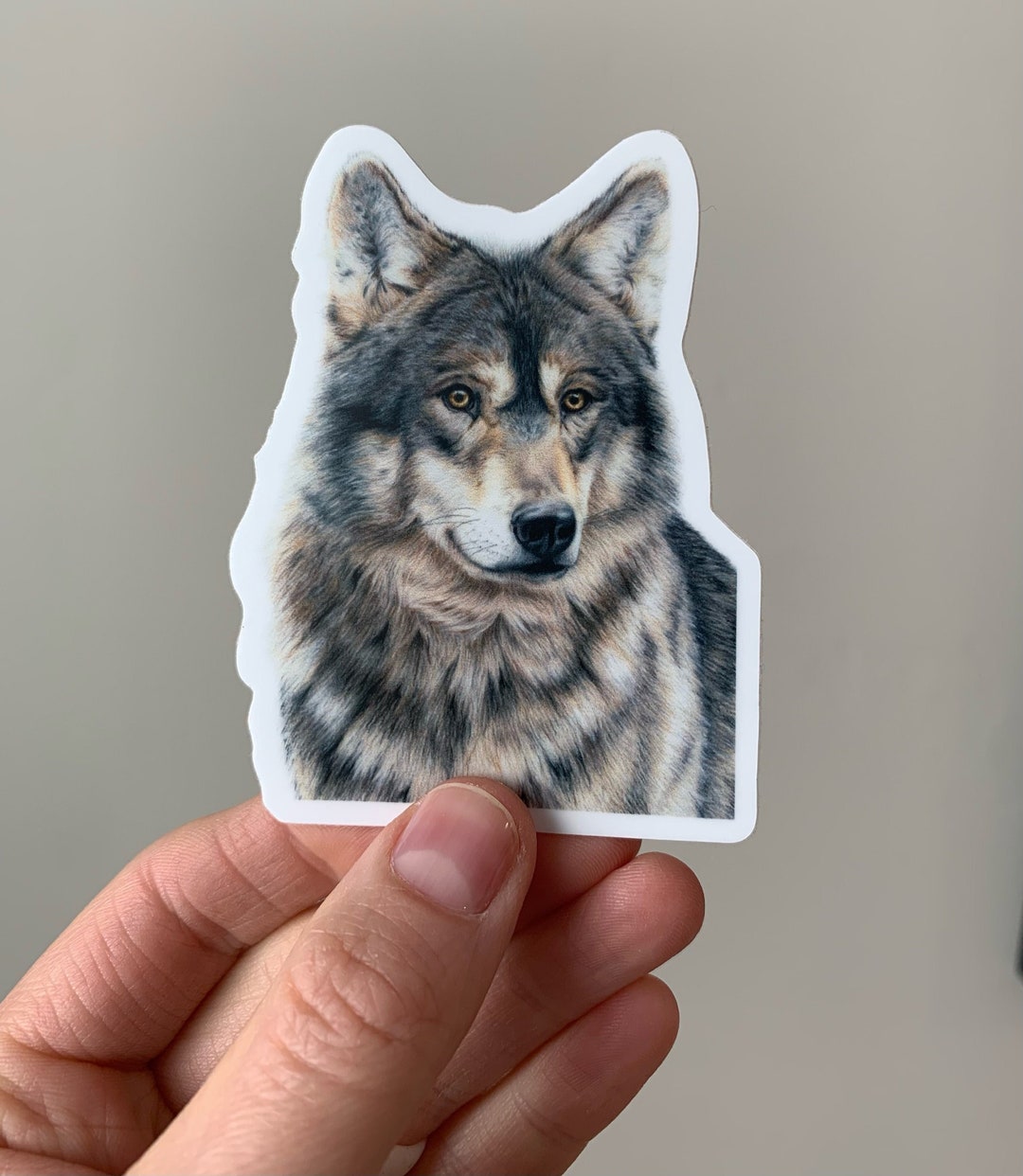 STICKER Wolf Colored Pencil Drawing - Etsy