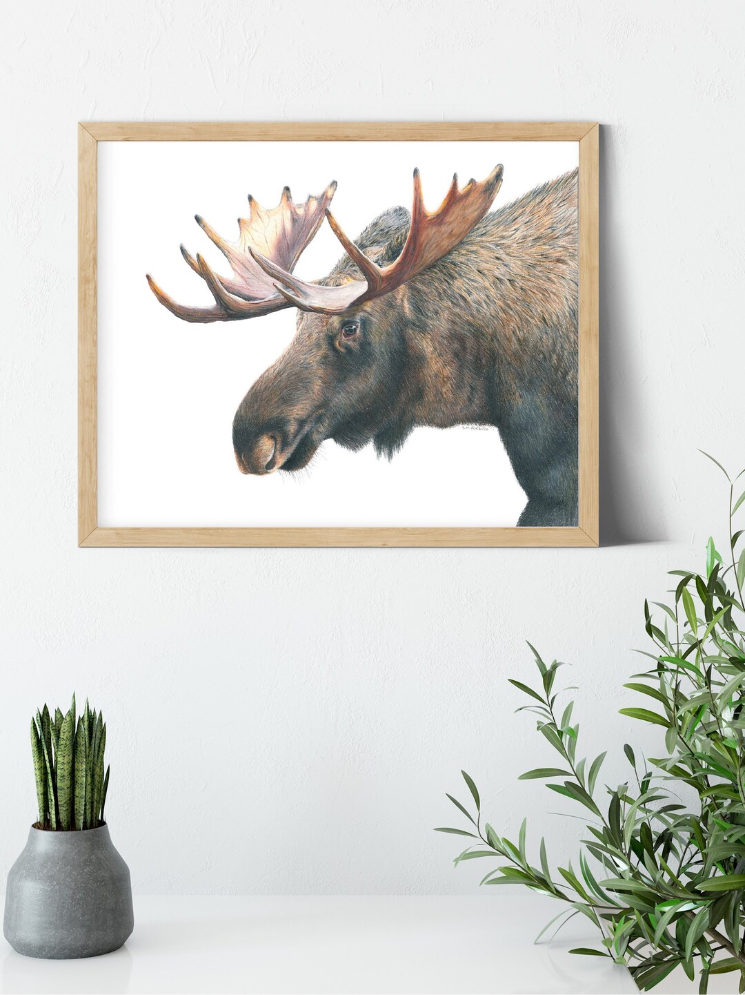 Colored Pencil Moose Drawing Print - Etsy