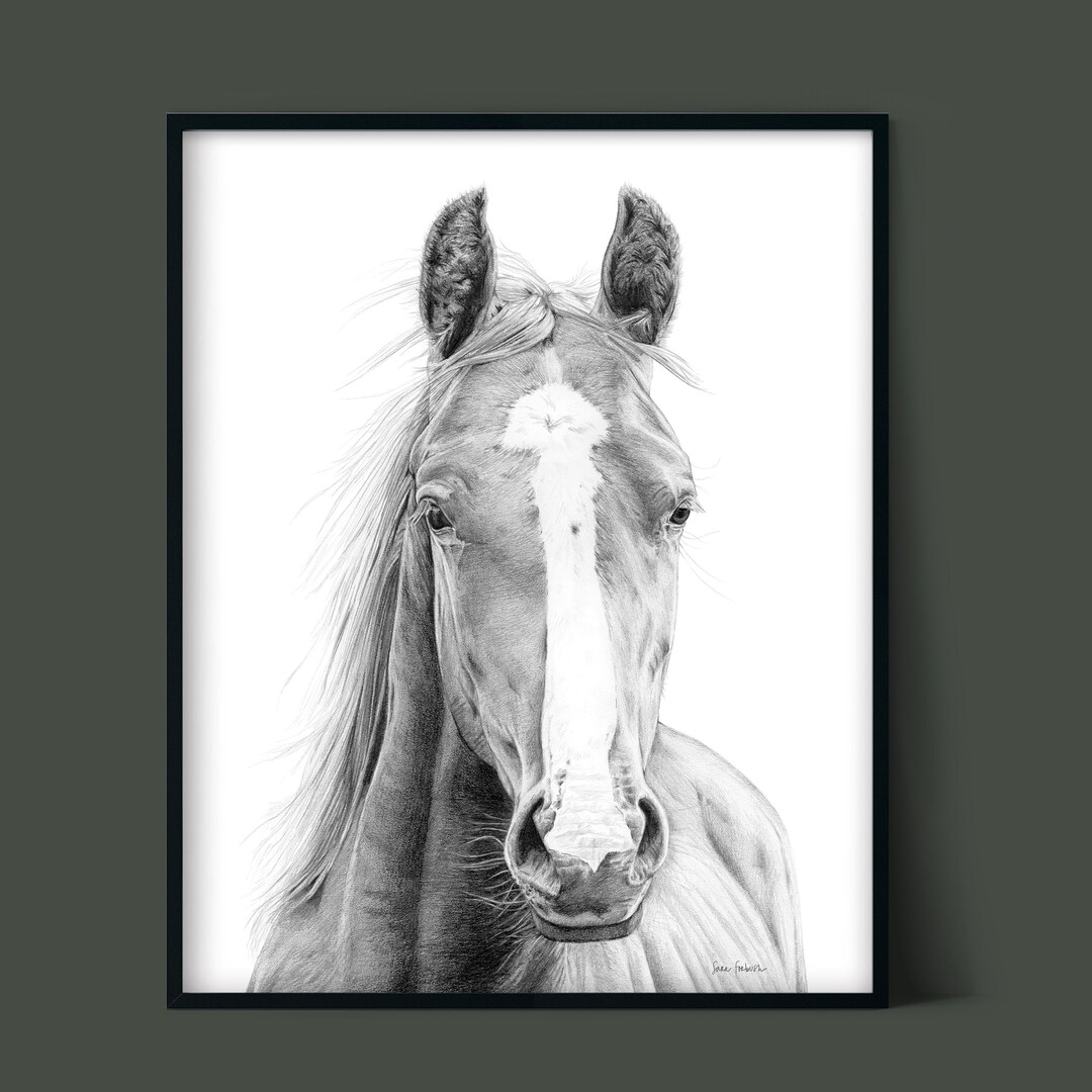 Horse Graphite Pencil Drawing Giclee Print - Etsy