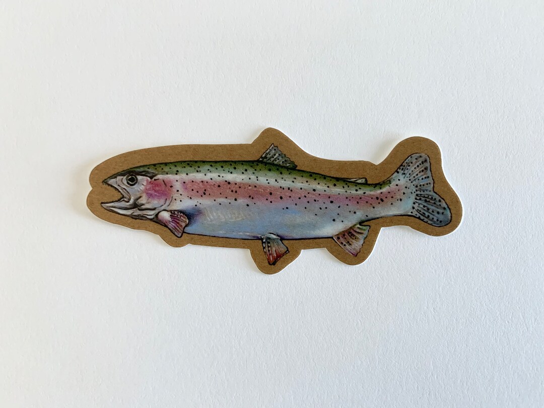 Rainbow Trout Fish Sticker - Etsy