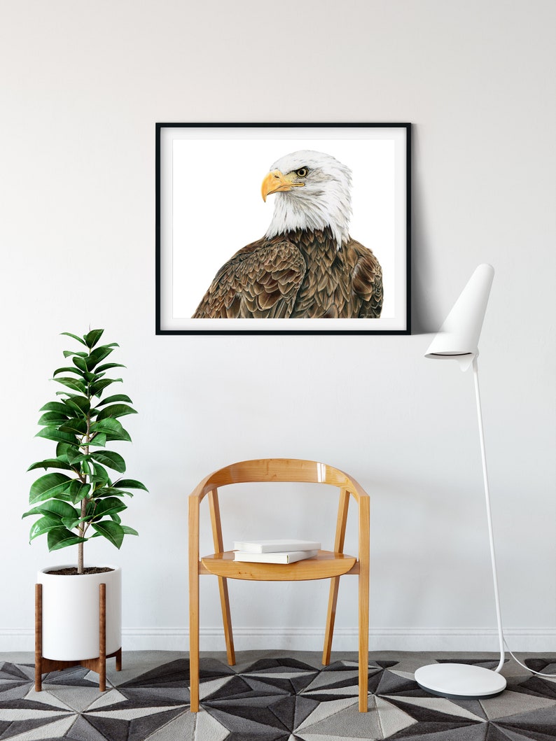 Bald Eagle Colored Pencil Drawing Print - Etsy