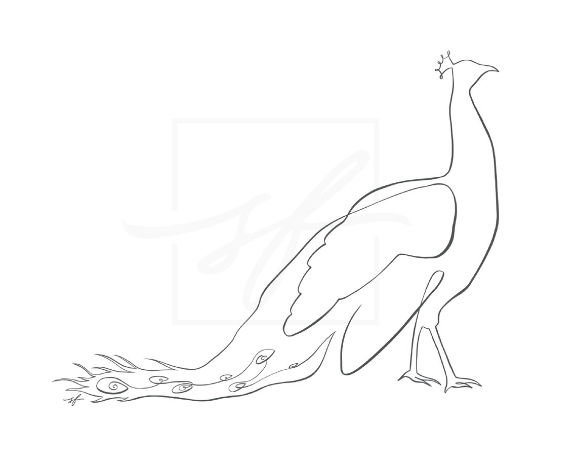 Minimalist Peacock One Line Drawing - Etsy