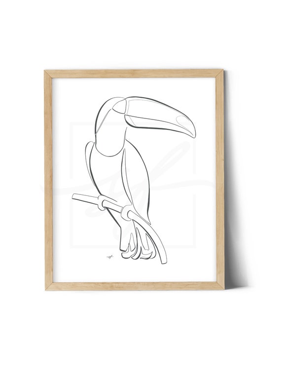 Toco Toucan Line Drawing
